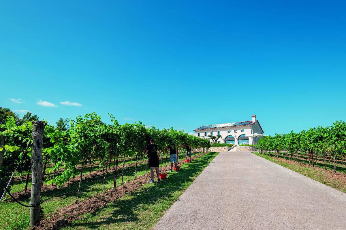 Progress Country Wine House, Ricettività